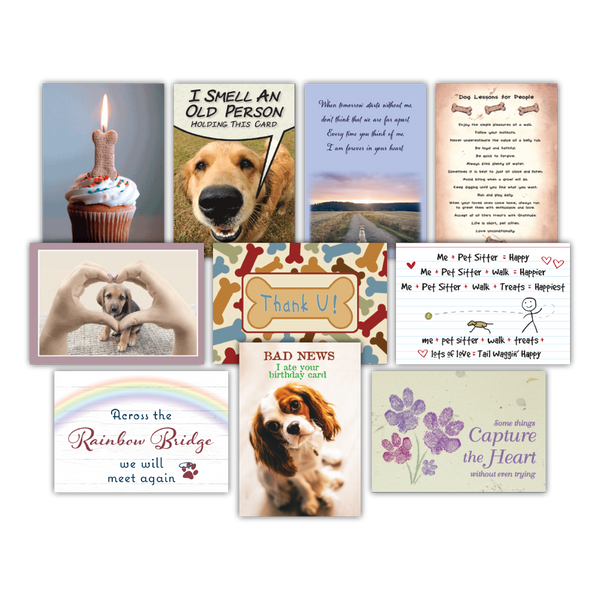 Pet Greeting Card Assortment - 56 Designs | Dog Speak Cards