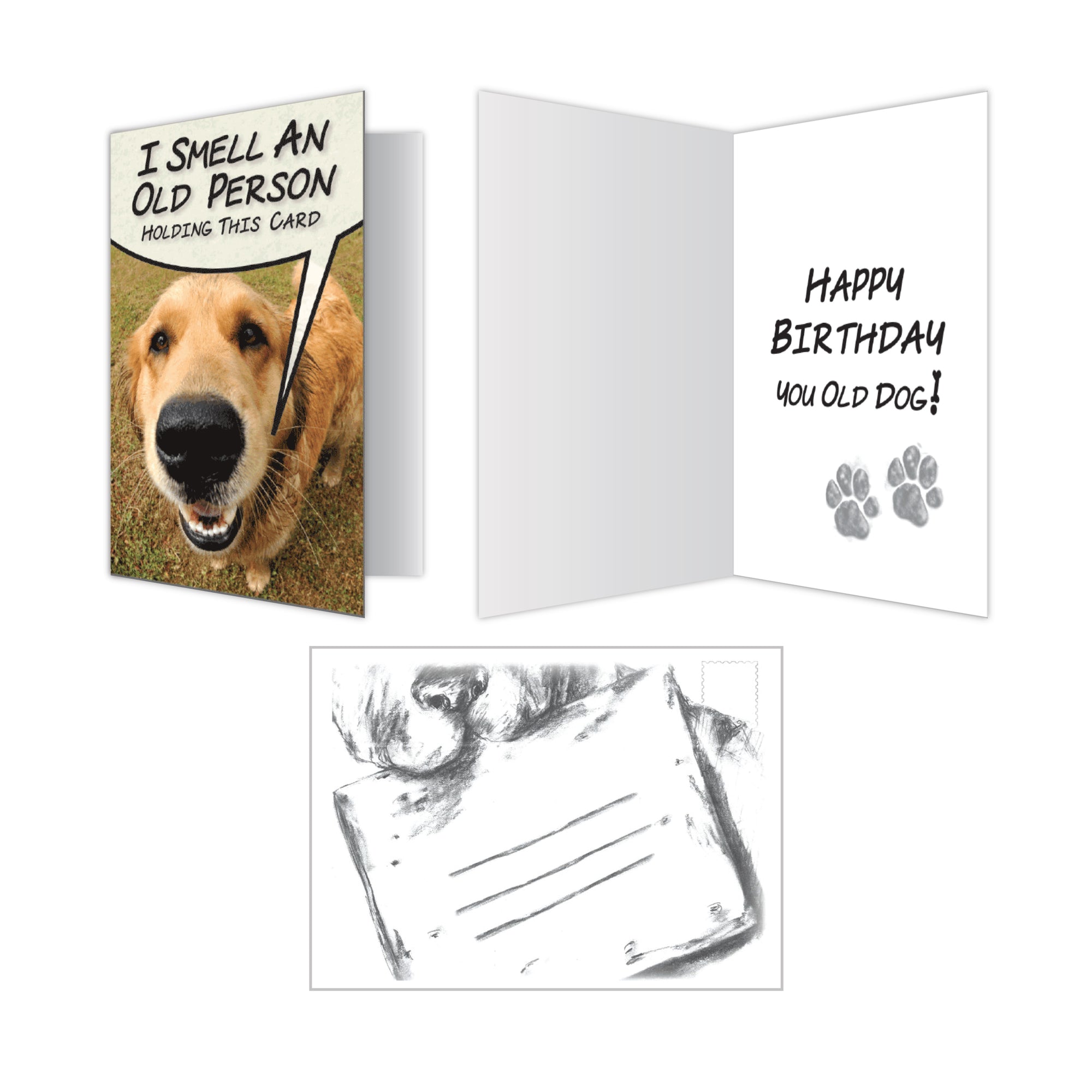 Dog Happy Birthday Card