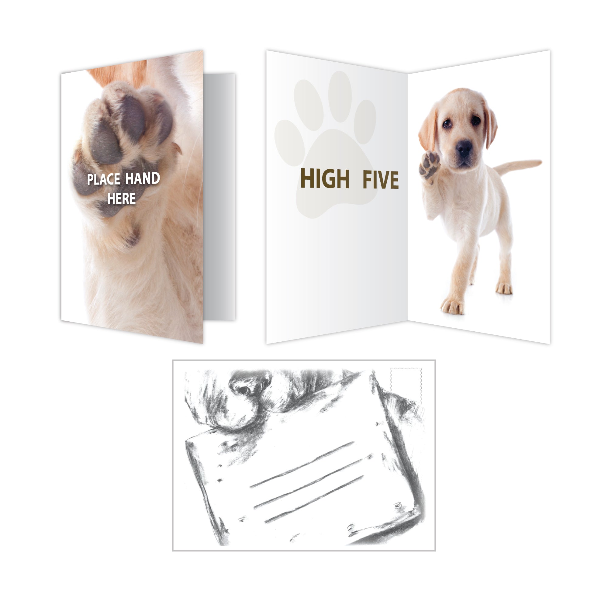 Dogs High Five Each Other