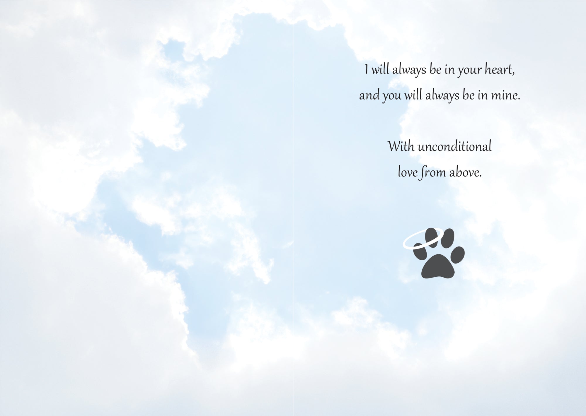 Rip Dog Quotes